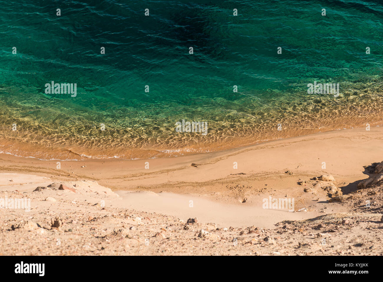 Soft waves of clear sea on sandy beach in the Ras Muhammad National ...