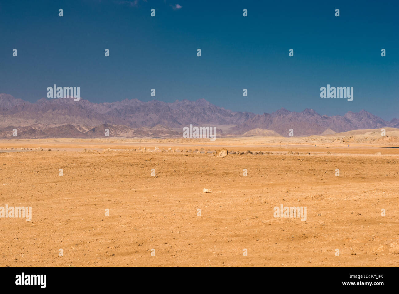 Desert mountain in sinai peninsula hi-res stock photography and images ...