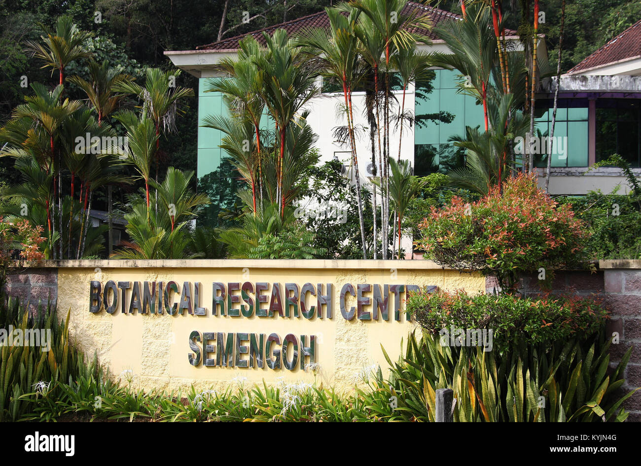Botanical Research Centre in Sarawak Stock Photo - Alamy