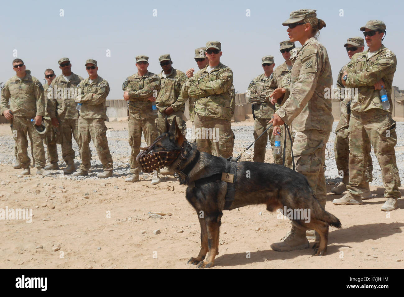Members of Kentucky's Agribusiness Development Team 5 learn about the ...