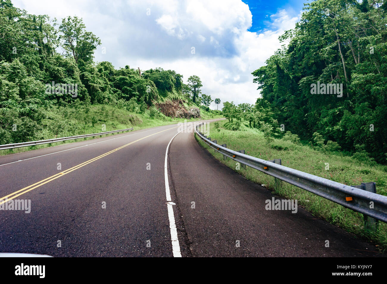 Road crossing the forest with cloudy sky and mountain view Stock Photo ...