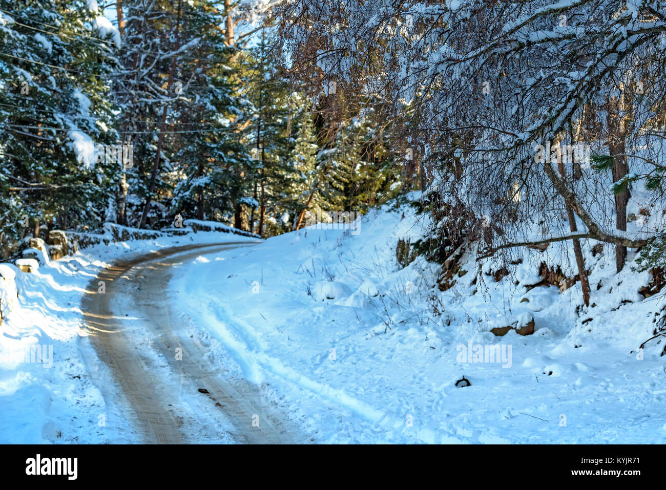 Road through winter mountain forest Stock Photo - Alamy