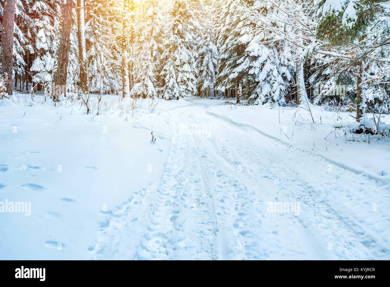 Road through winter mountain forest Stock Photo - Alamy
