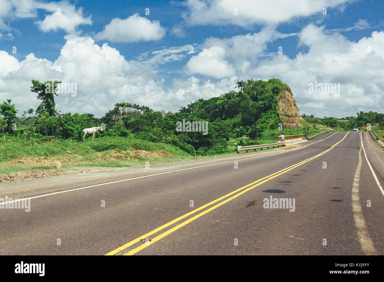 Road crossing the forest with cloudy sky and mountain view Stock Photo ...