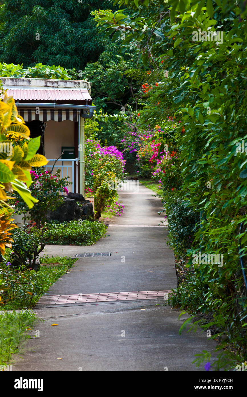 Martinique, Les Anses d'Arlet, beach town, southwest coast, steep road ...