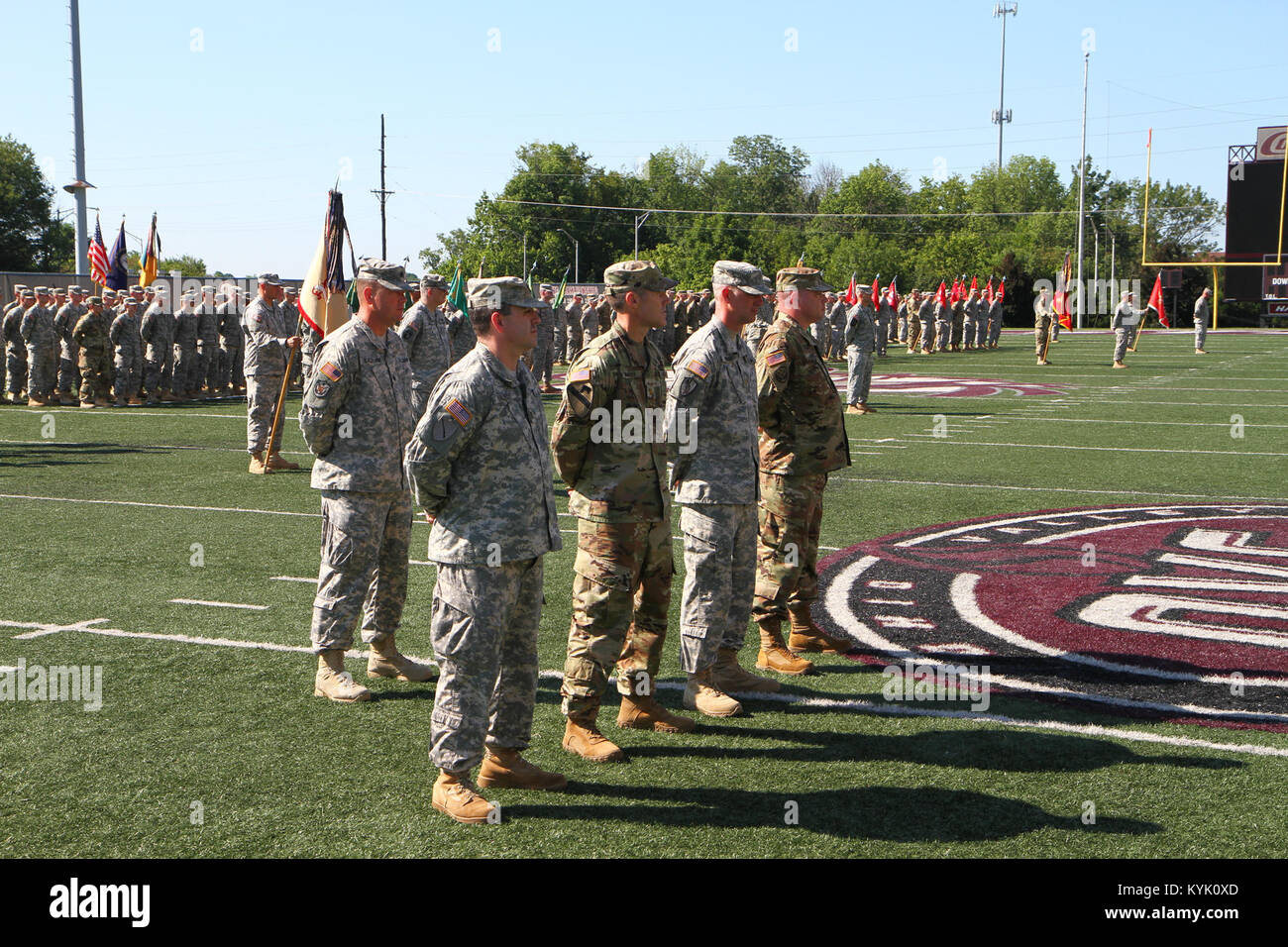 Withers csm hi-res stock photography and images - Alamy