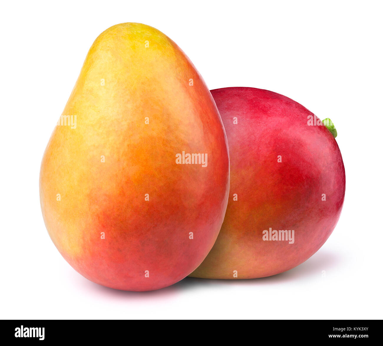Two whole mangoes isolated on white background, with clipping path ...