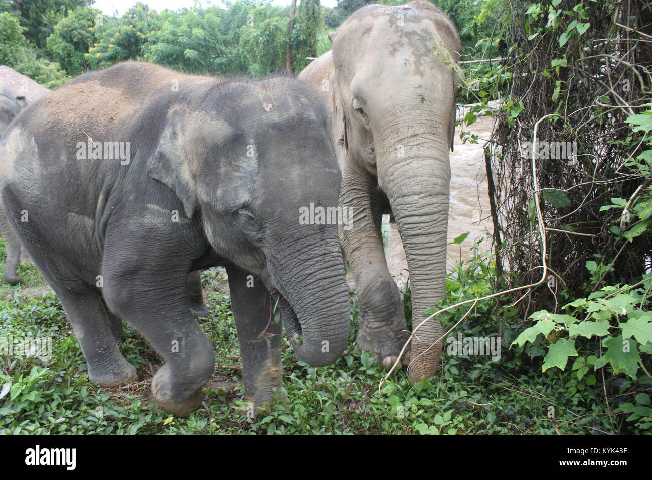 Orphaned area hi-res stock photography and images - Alamy