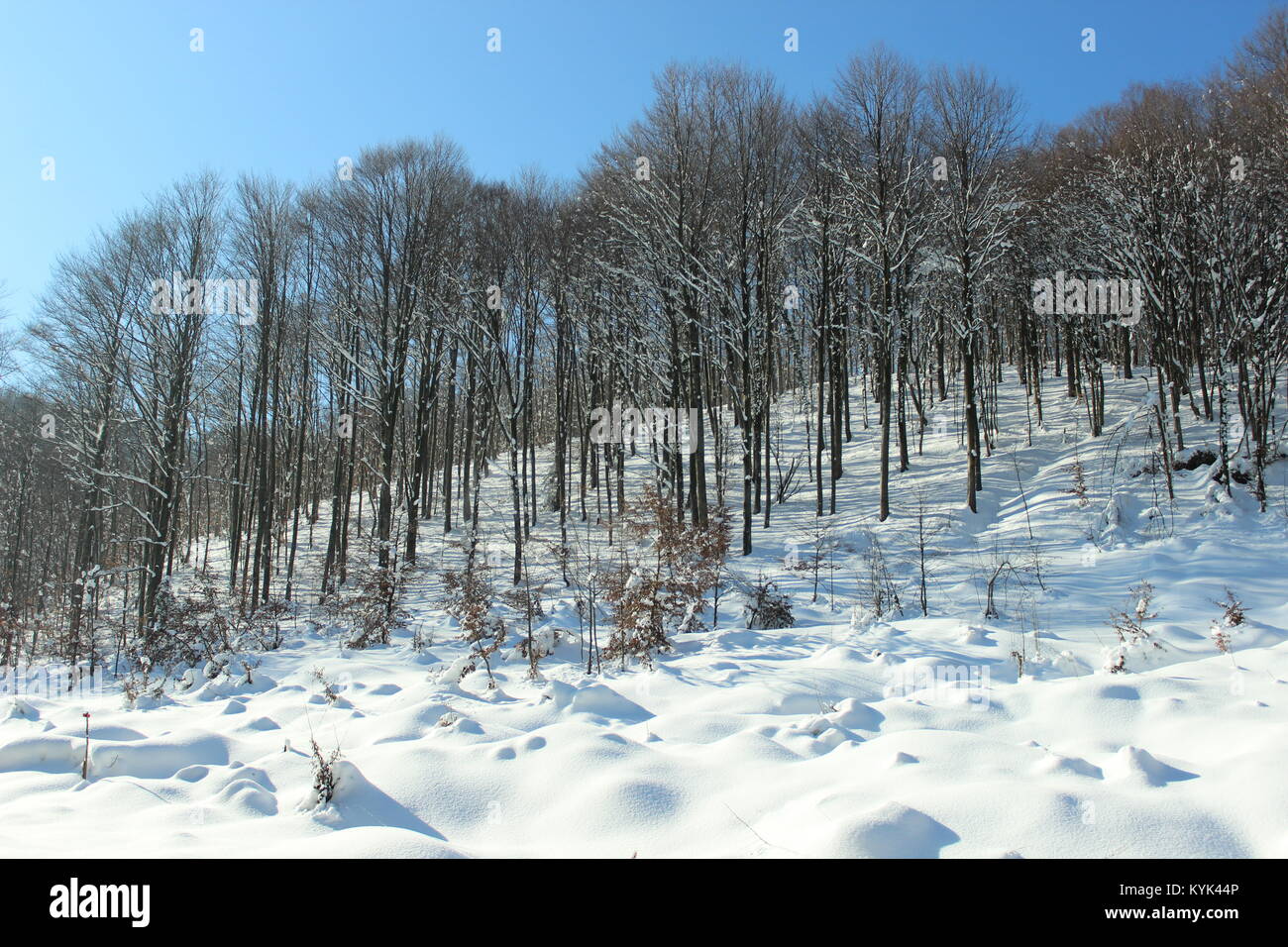 A slope covered with snow Stock Photo - Alamy