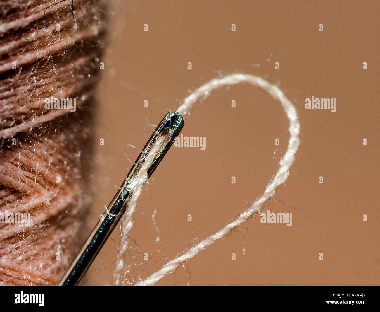 Brown needle hi-res stock photography and images - Alamy