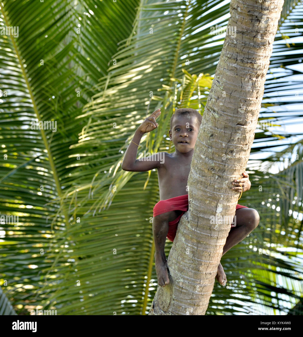 Unidentified boy of asmat people on the tree. Small village of Asmat ...