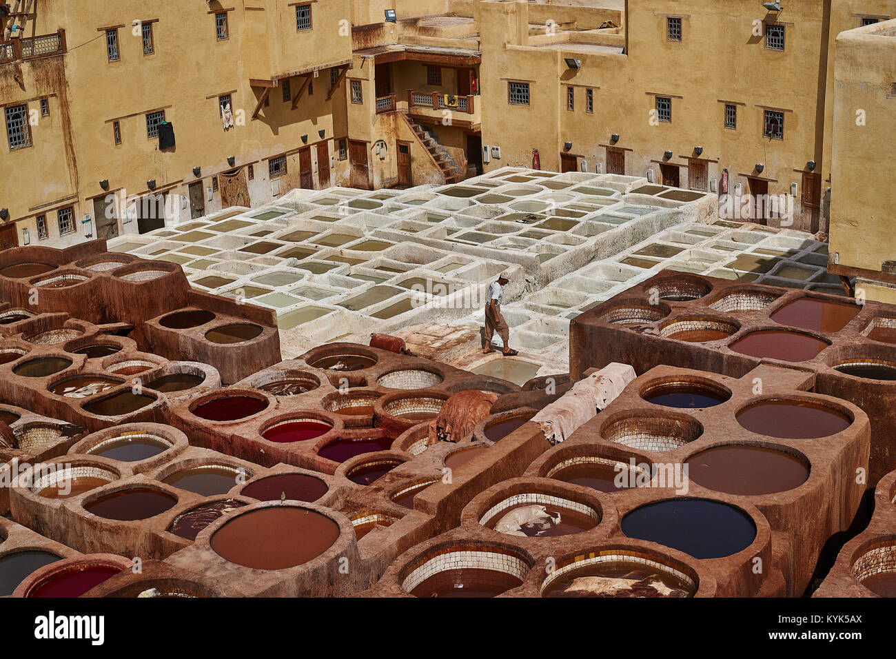 Leather tanning, Fes, Morocco Stock Photo - Alamy