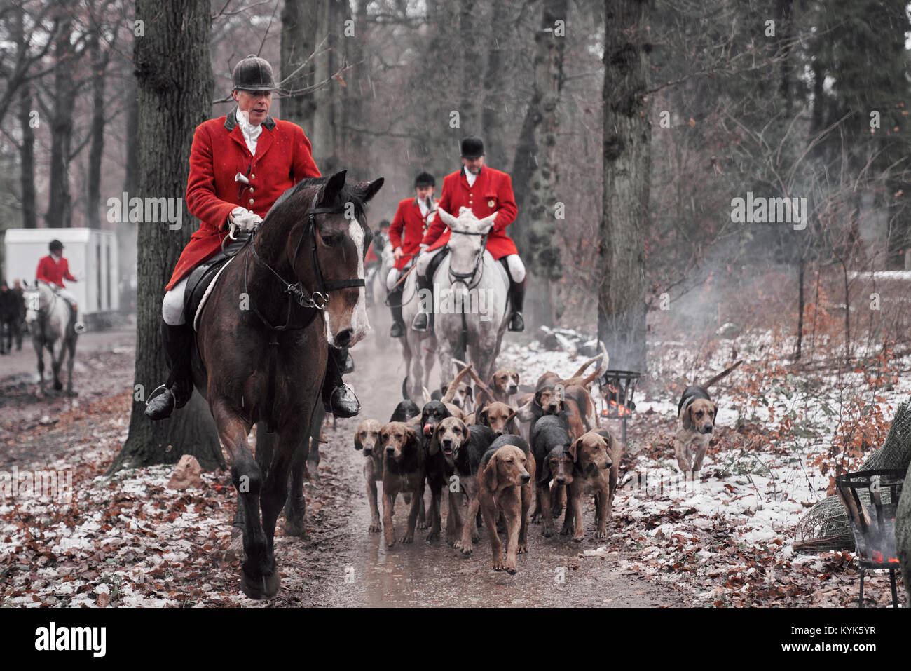 Hunter season: Hunters riding a horse with dogs walking on the street ...