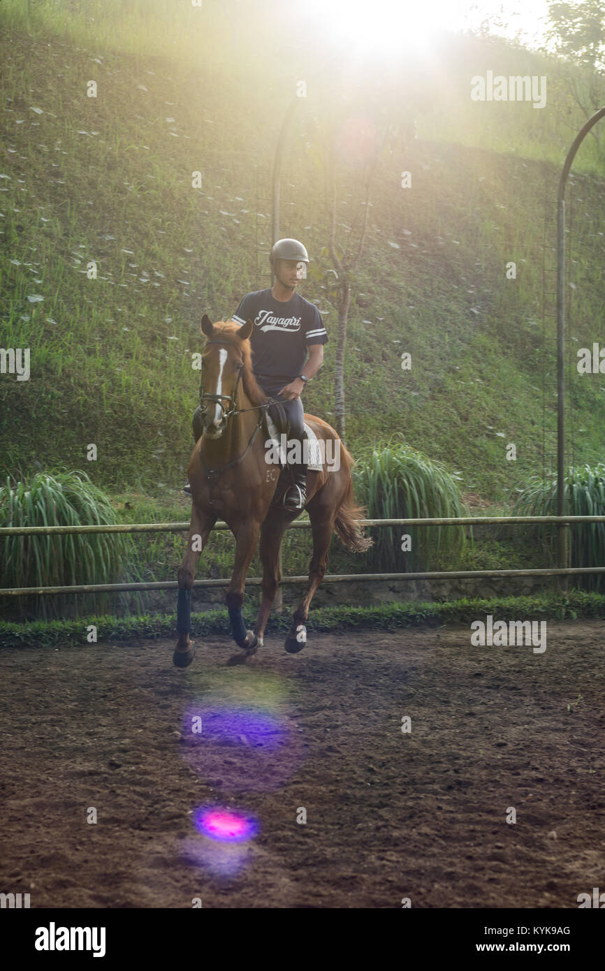 Athlete riding horse hi-res stock photography and images - Alamy
