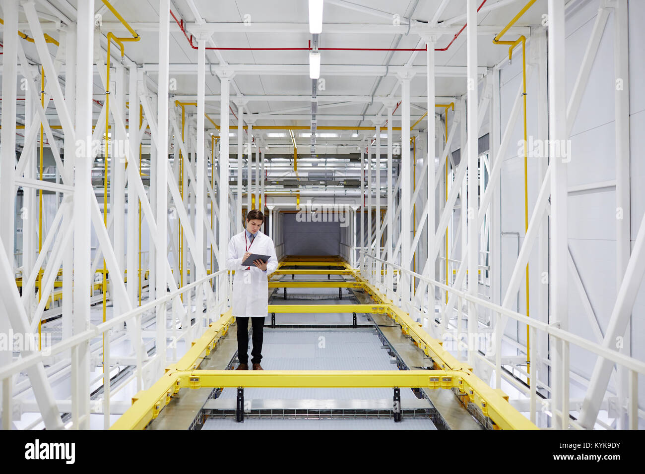 Expert at work Stock Photo - Alamy