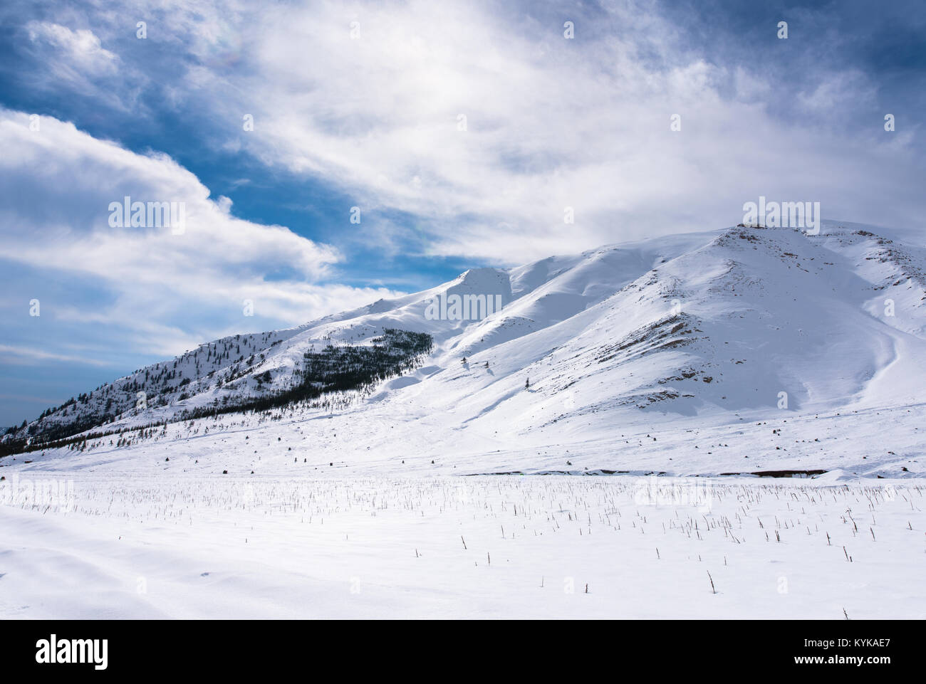 White snowy fields under hi-res stock photography and images - Alamy