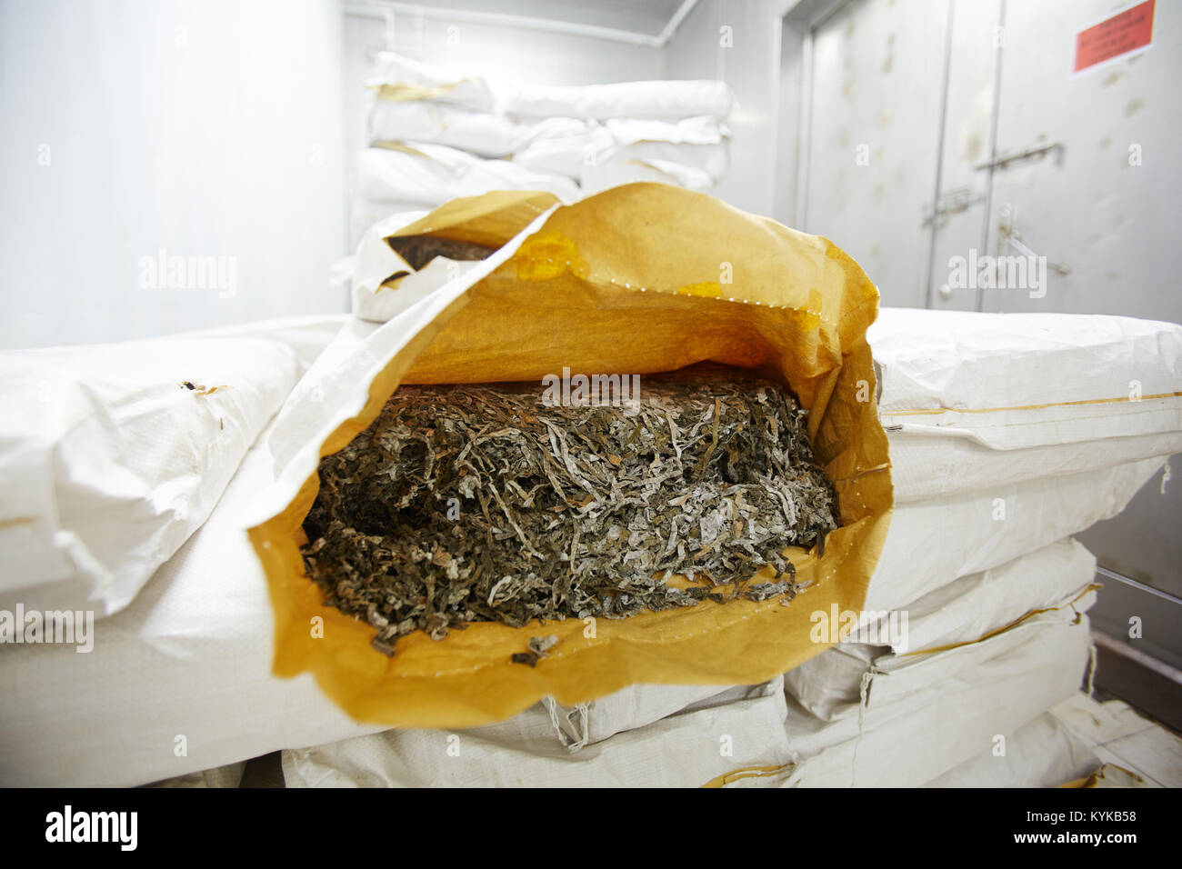 Seaweed factory hi-res stock photography and images - Alamy