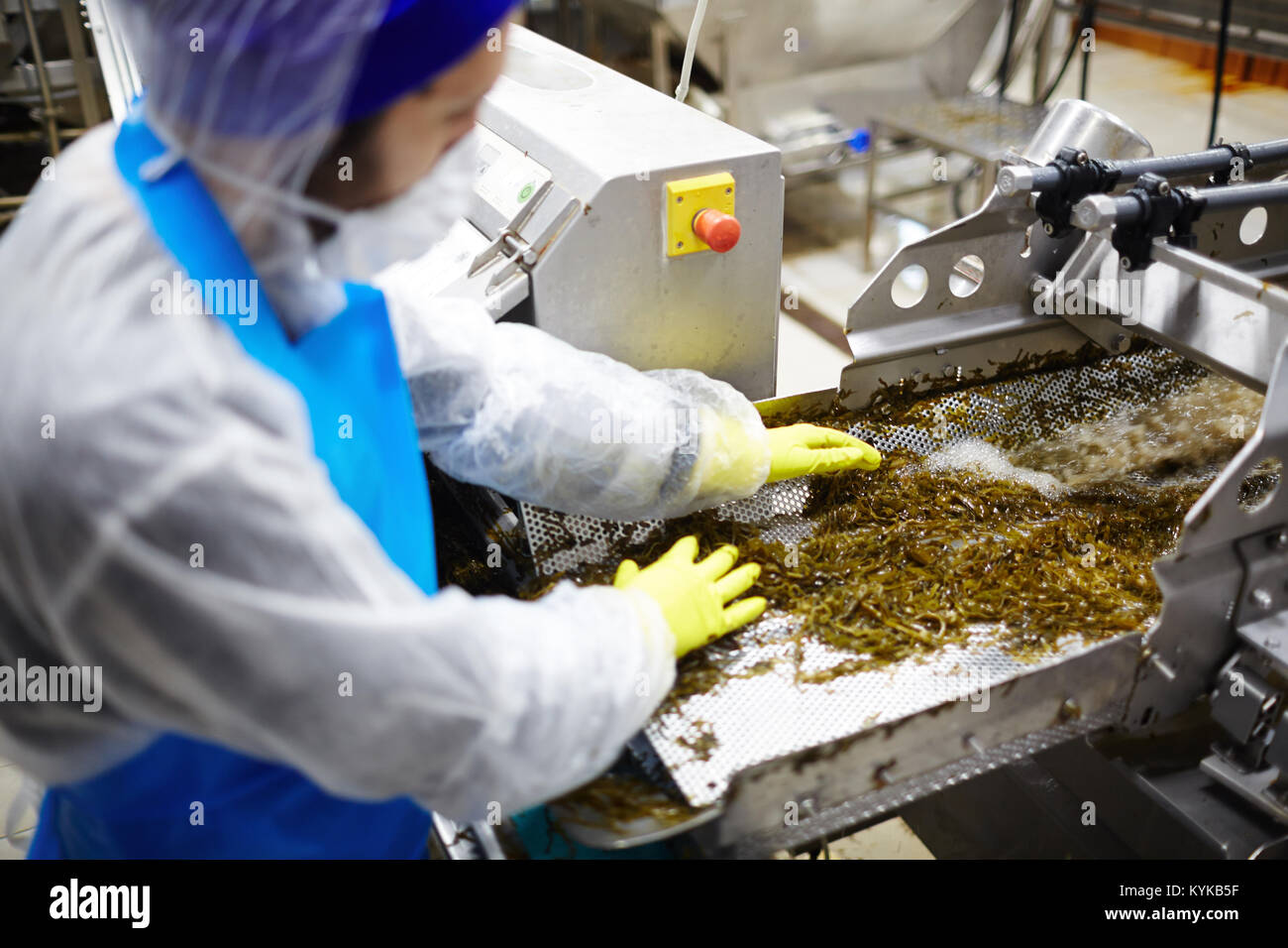 Preparation of seaweed Stock Photo - Alamy