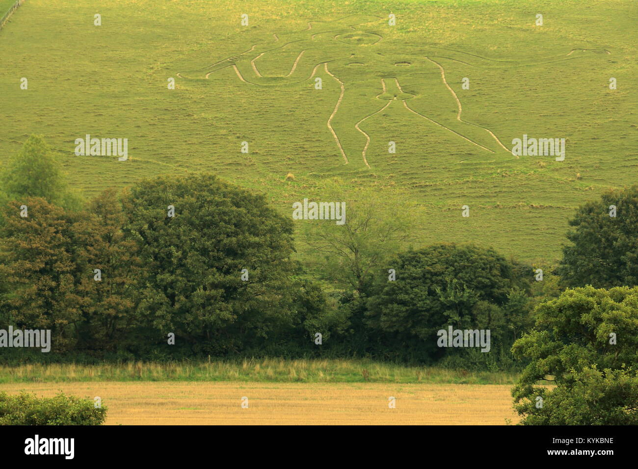 Cerne Giant,Cerne Abbas,Dorset,UK Stock Photo - Alamy