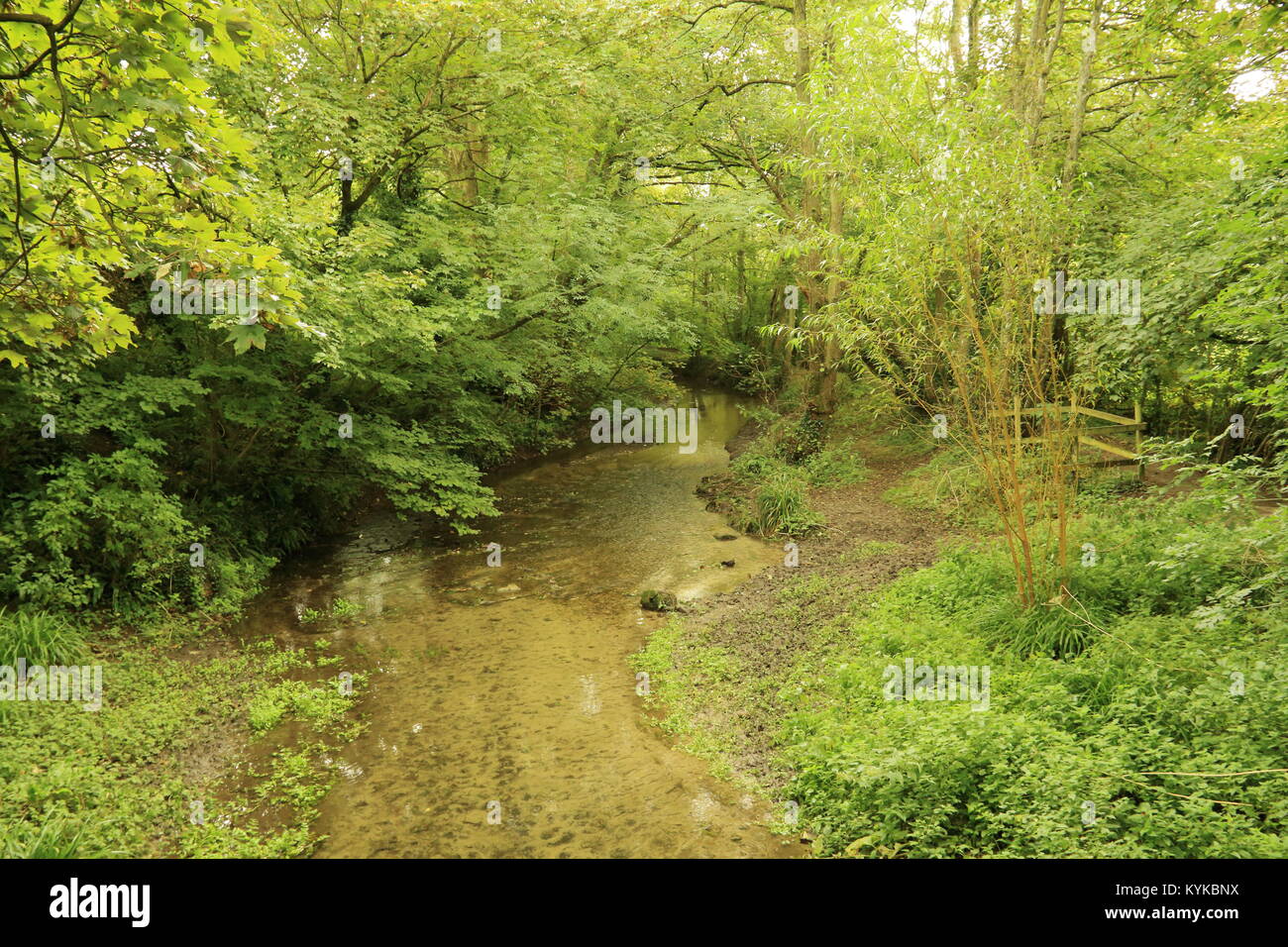 River piddle hi-res stock photography and images - Alamy