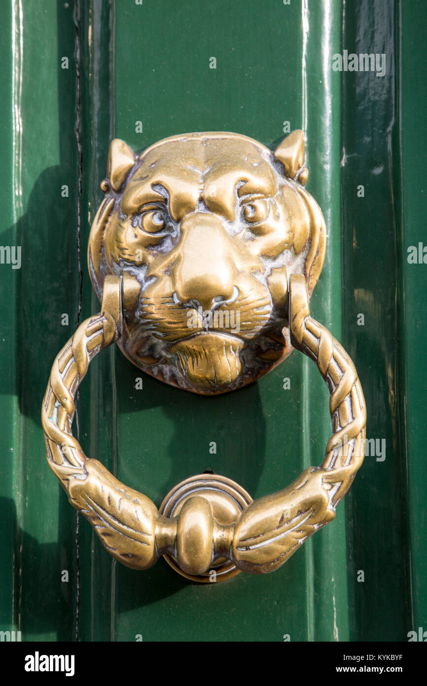 Brass face head lion door knocker, Devizes, Wiltshire, England, UK ...
