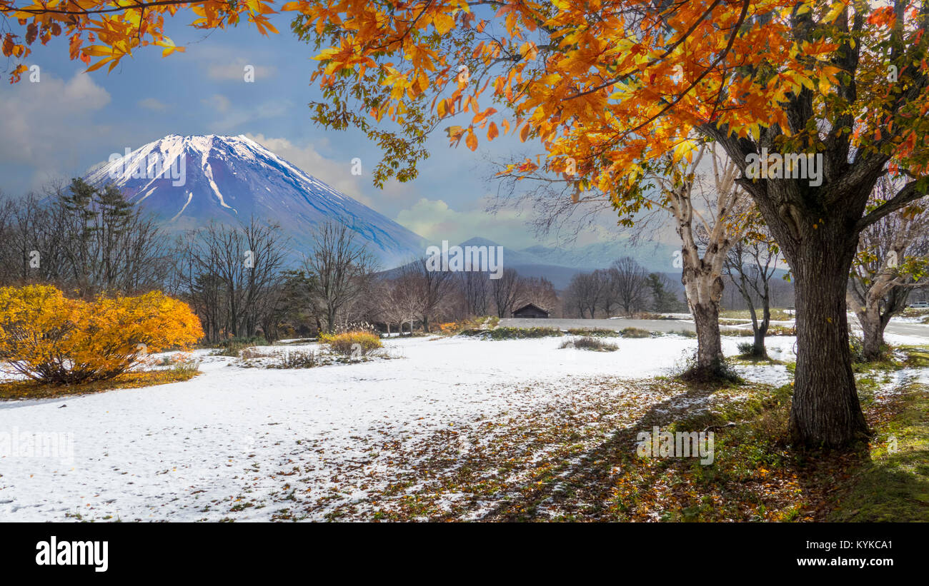 The Beautiful autumn leaves and sky background in fall season Stock ...