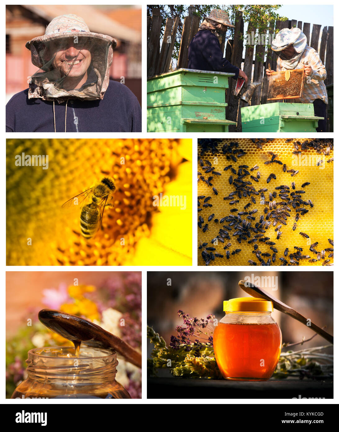 farm for honey agriculture background collage Stock Photo - Alamy
