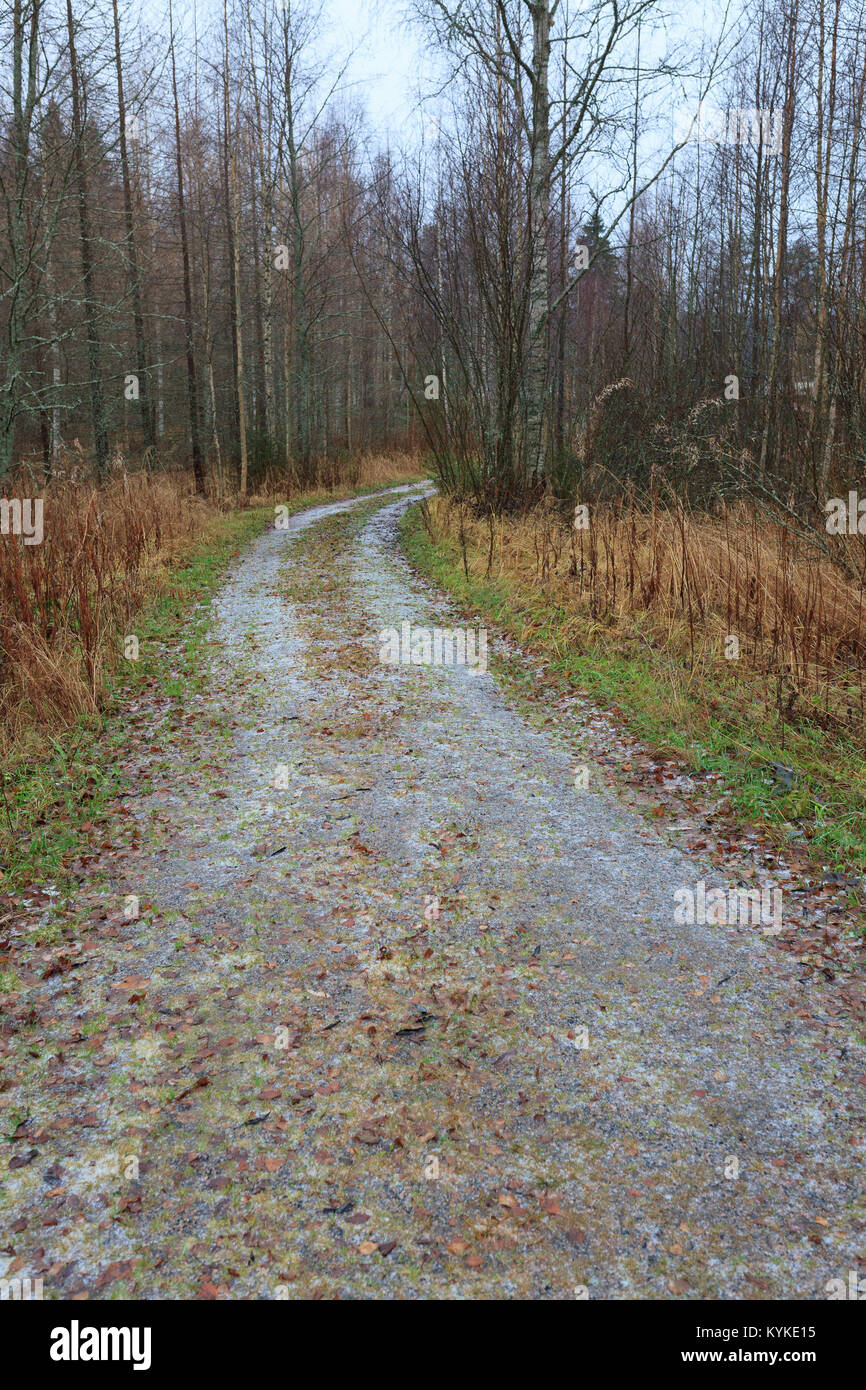Small forest road in finland Stock Photo - Alamy