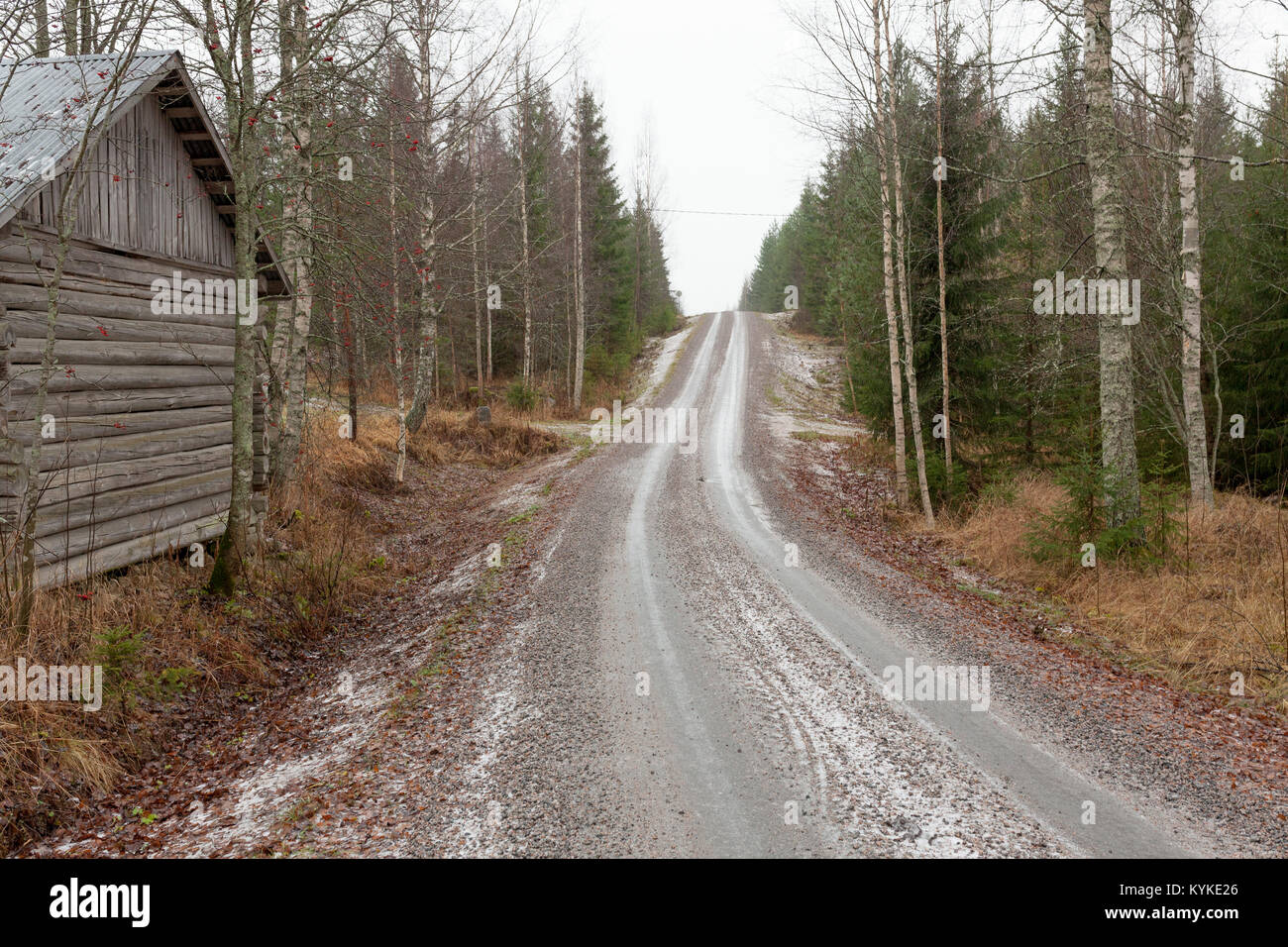 Small forest road in finland Stock Photo - Alamy