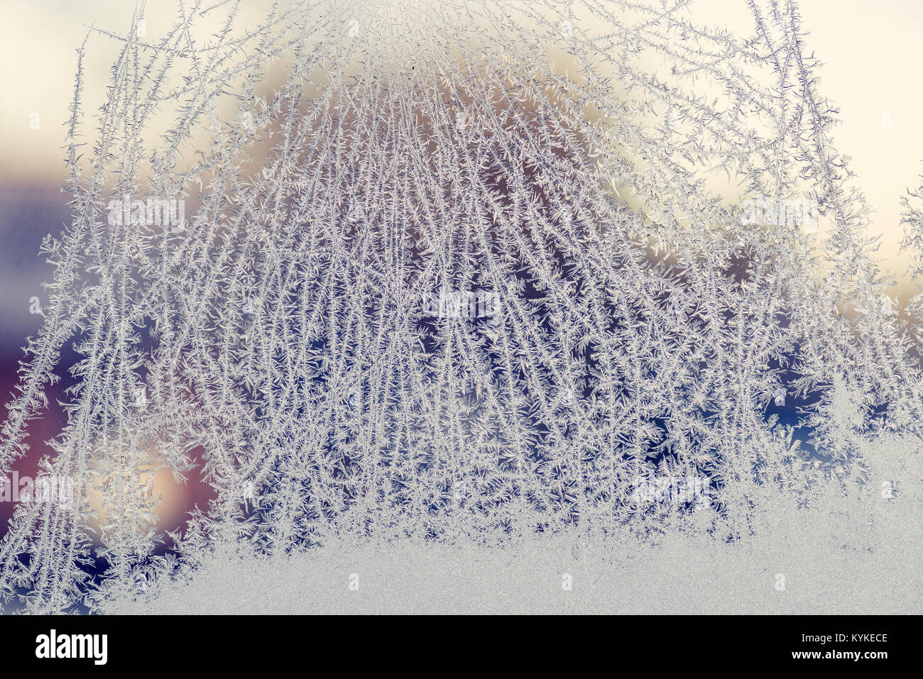 Frost on a windows on a cold January morning when the sun is rising ...