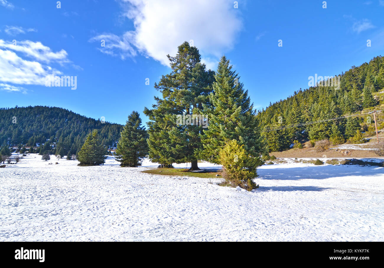landscape of snowy Oeta mountain central Greece - famous winter ...