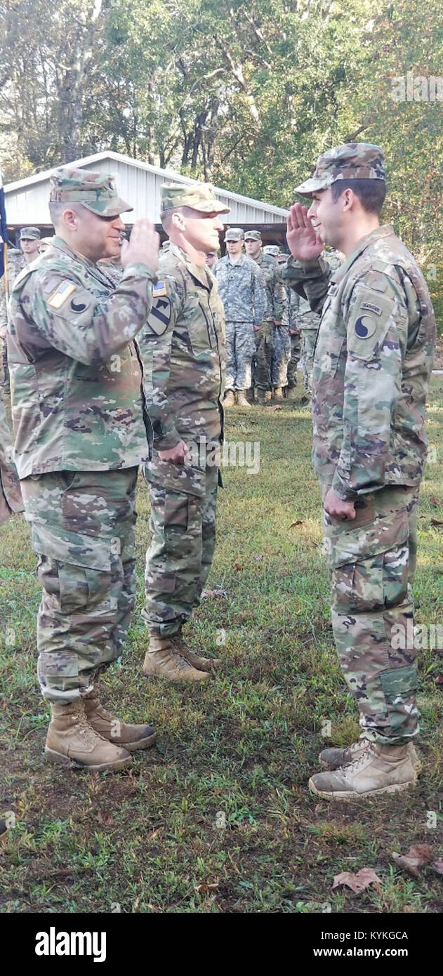 Field promotion ceremony Stock Photo - Alamy