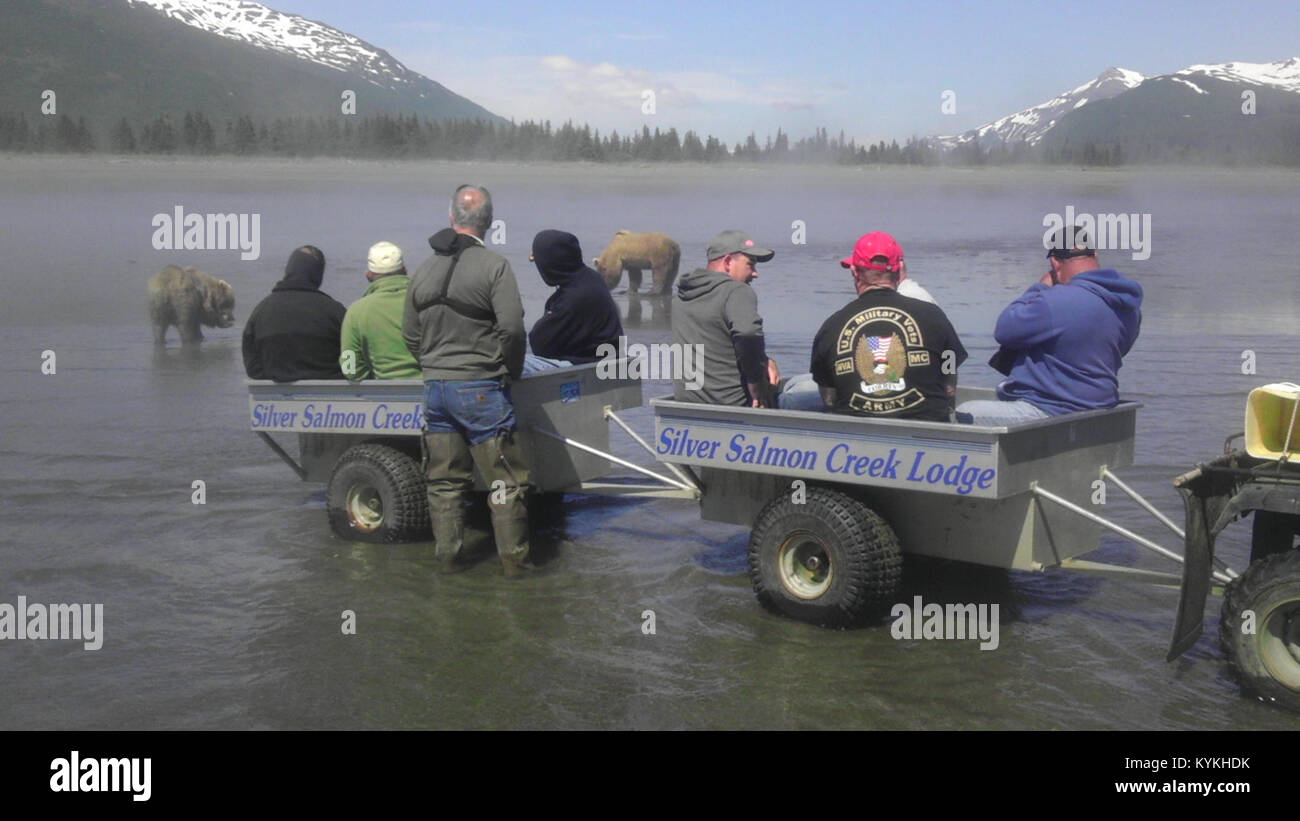 Bears dig for clams at Lake Clark National Park and Preserve. The ...