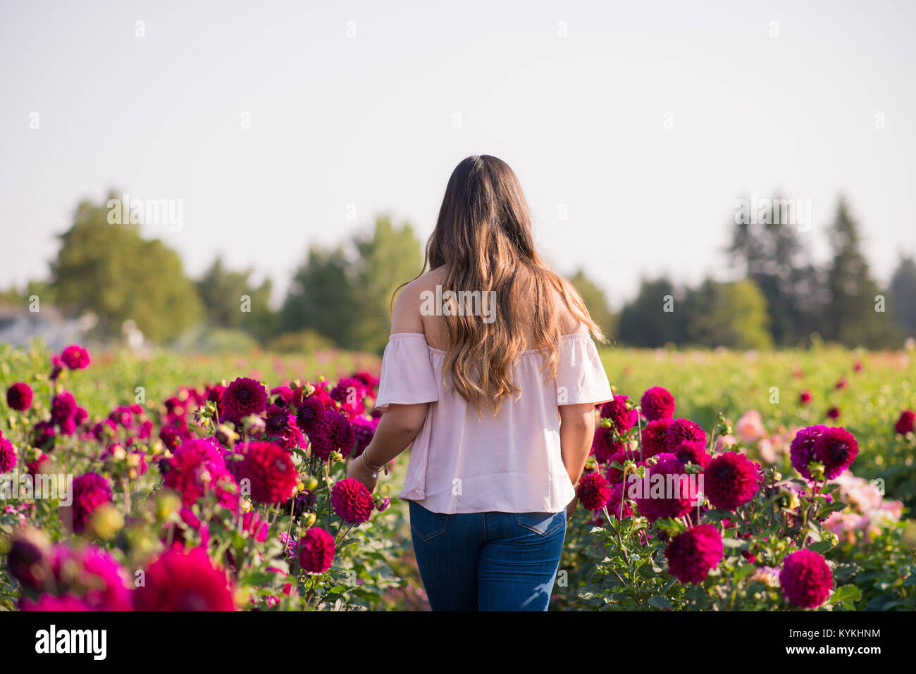 Pretty Flower Field Stock Photo - Alamy