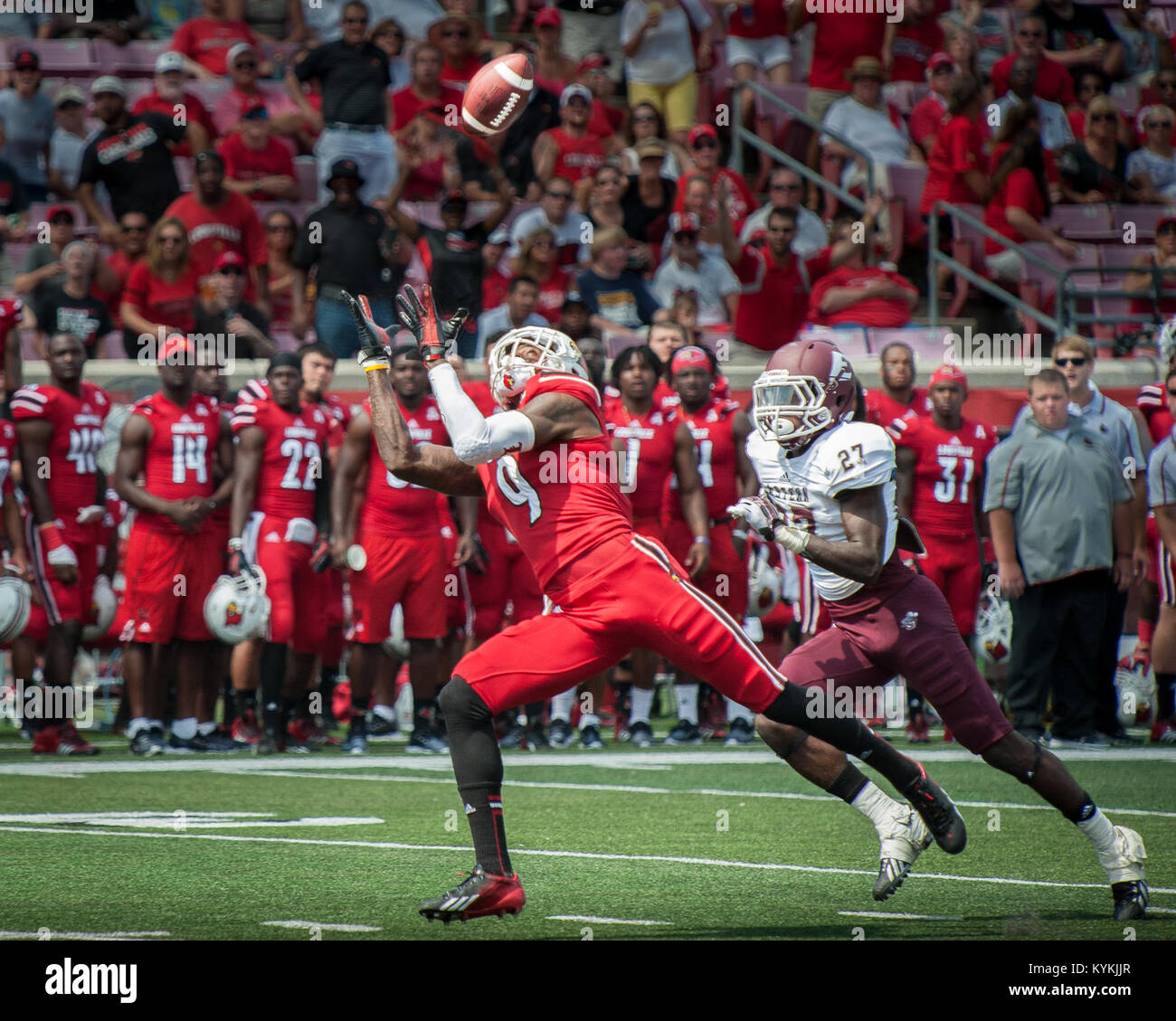 Louisville cardinals cardinal hi-res stock photography and images - Alamy