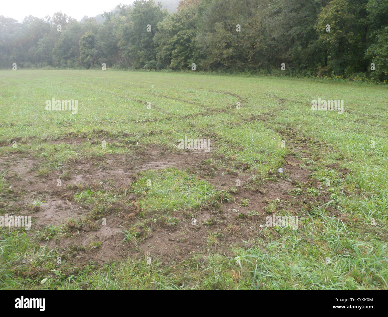 577th Sapper Company supports the Natural Resources Program at Harold L ...