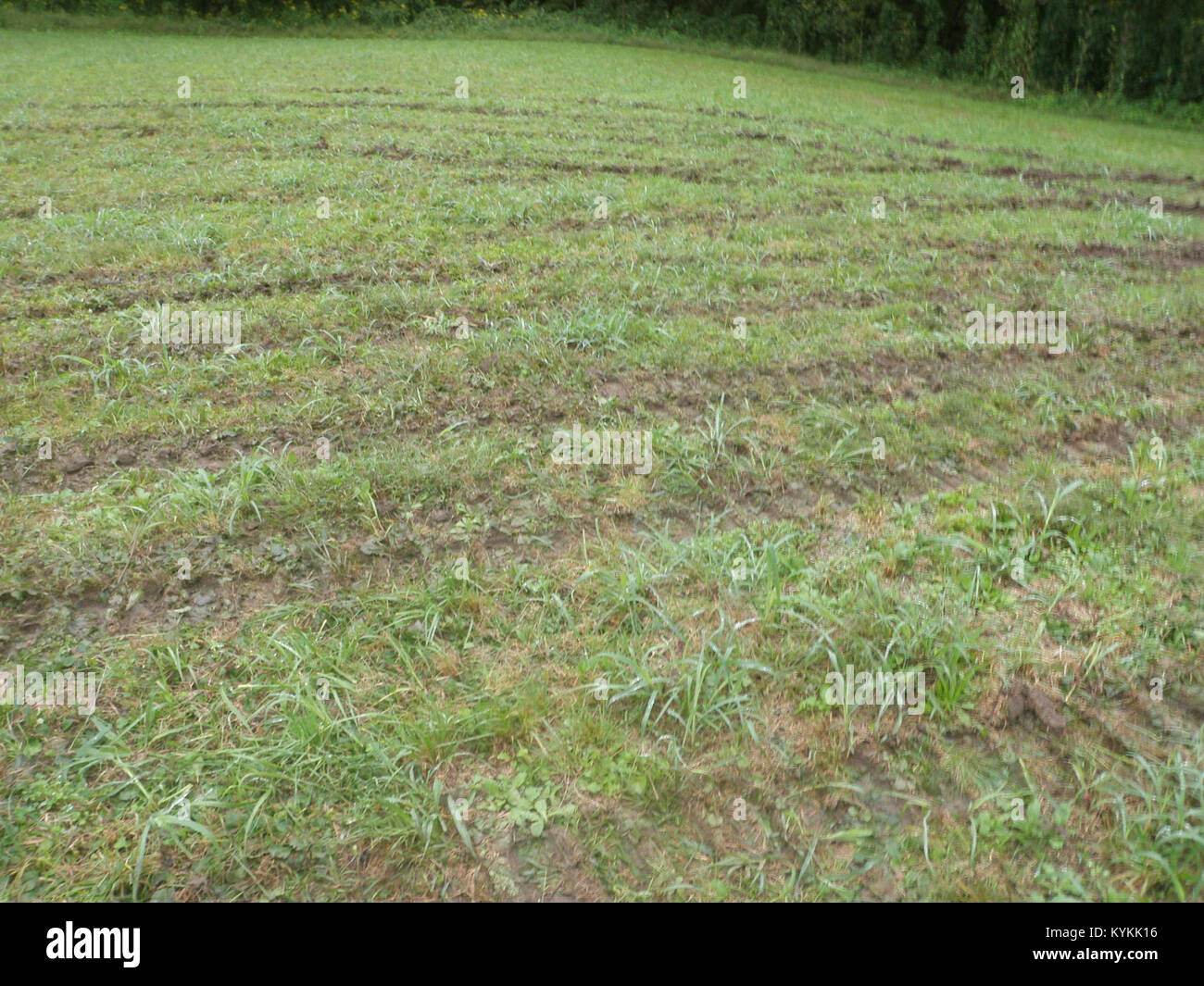 577th Sapper Company supports the Natural Resources Program at Harold L ...