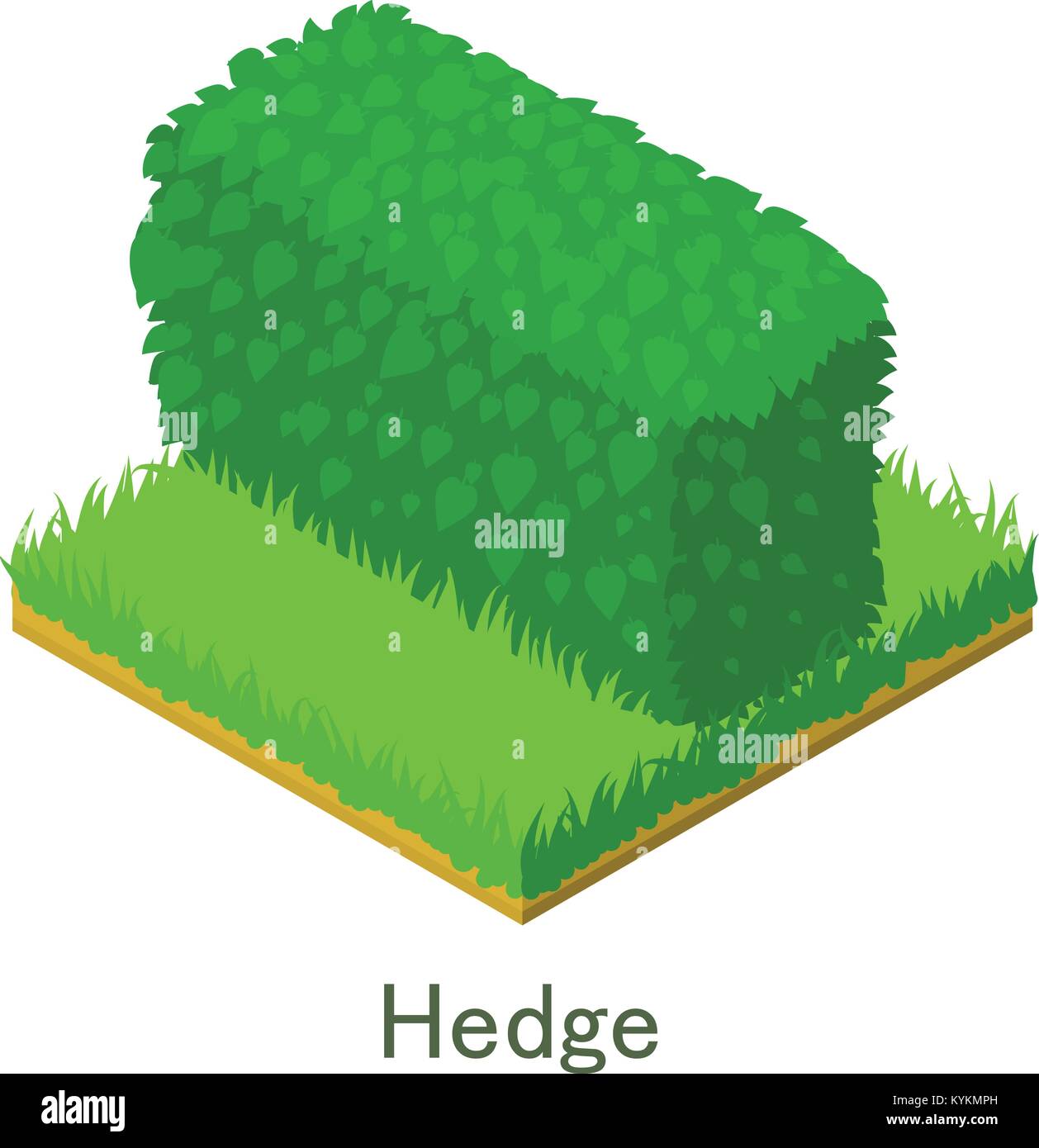 Square hedge Stock Vector Images - Alamy