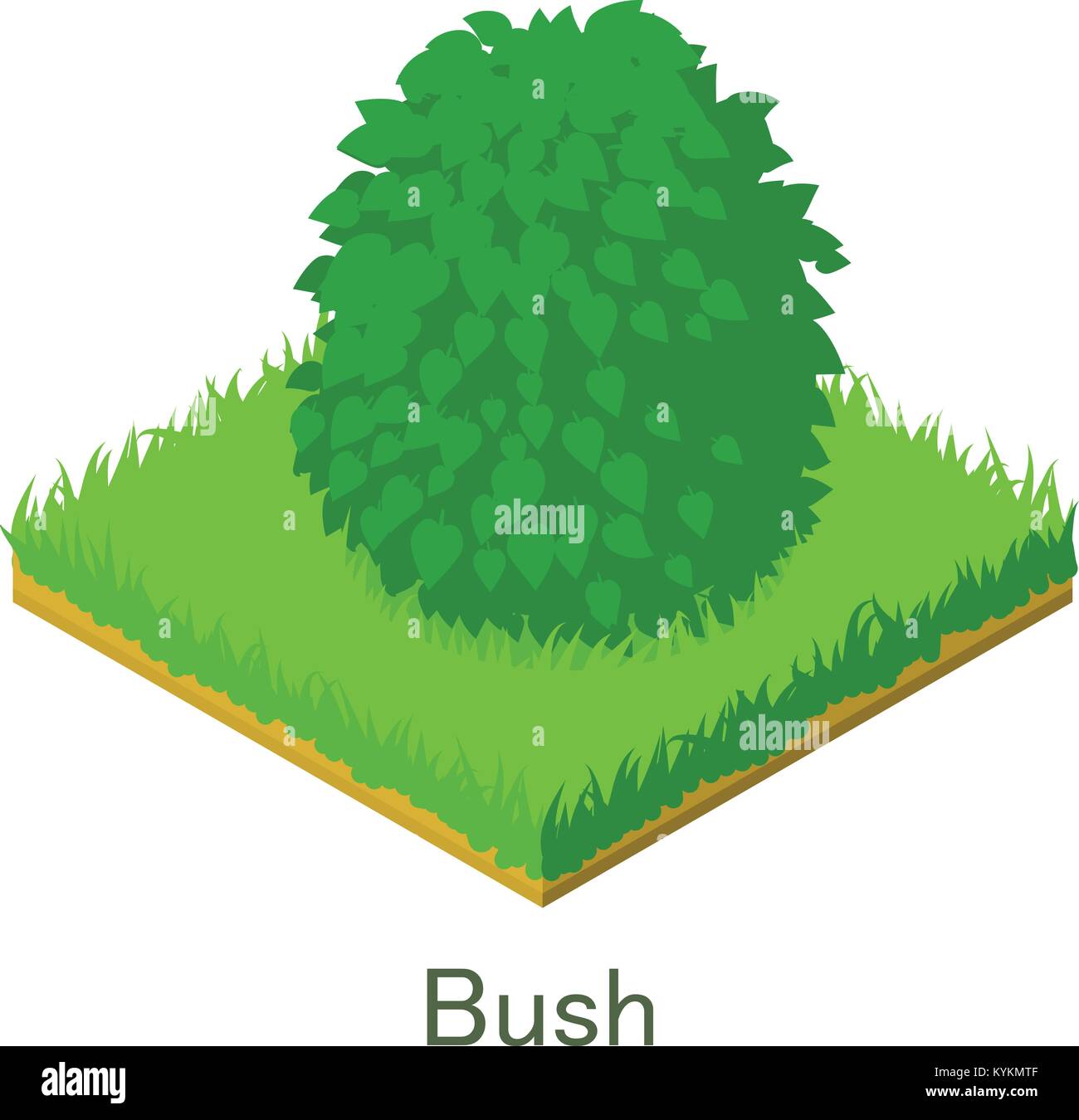 Bush icon, isometric style Stock Vector Image & Art - Alamy