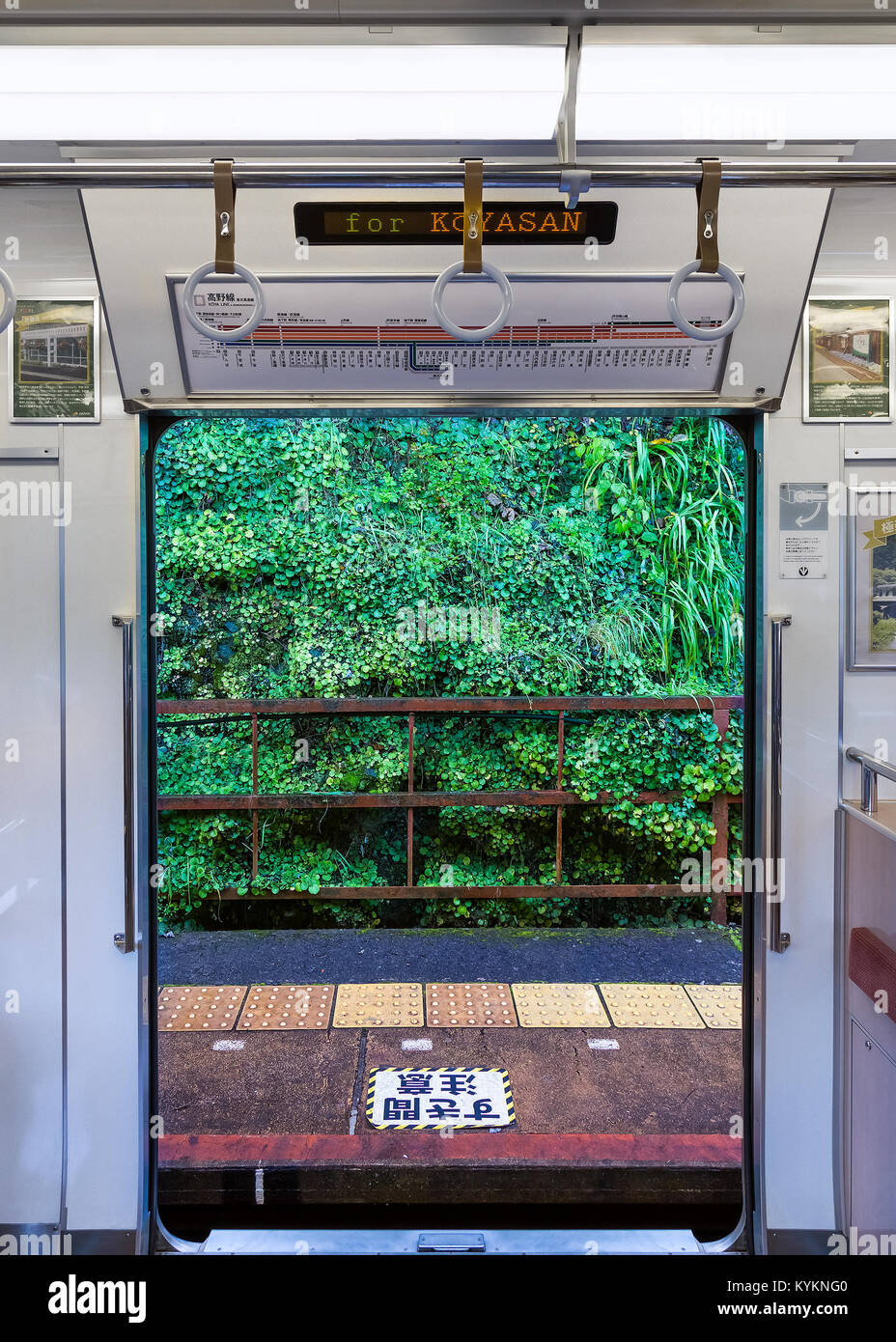 WAKAYAMA, JAPAN - OCTOBER 29: Nankai Koya Line in Wakayama, Japan on ...