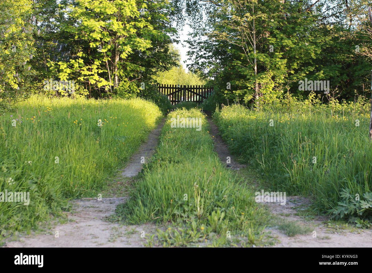 farm in nature outdoor Stock Photo - Alamy