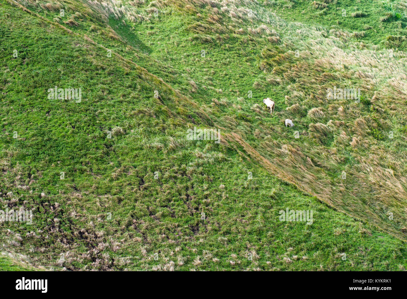 Grassland of Batanes, Philippines Stock Photo - Alamy