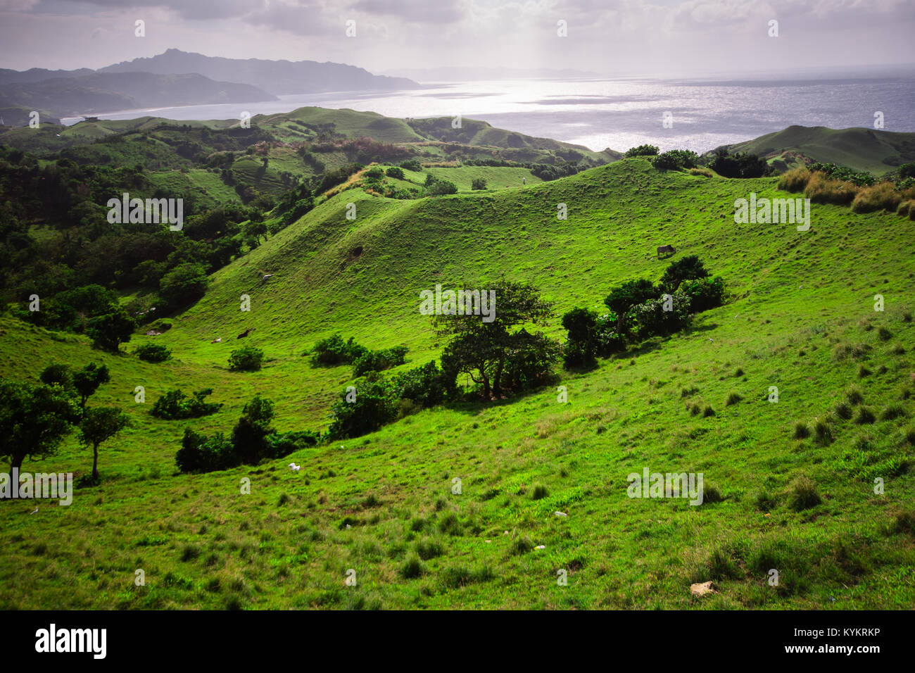 Grassland of Batanes, Philippines Stock Photo - Alamy