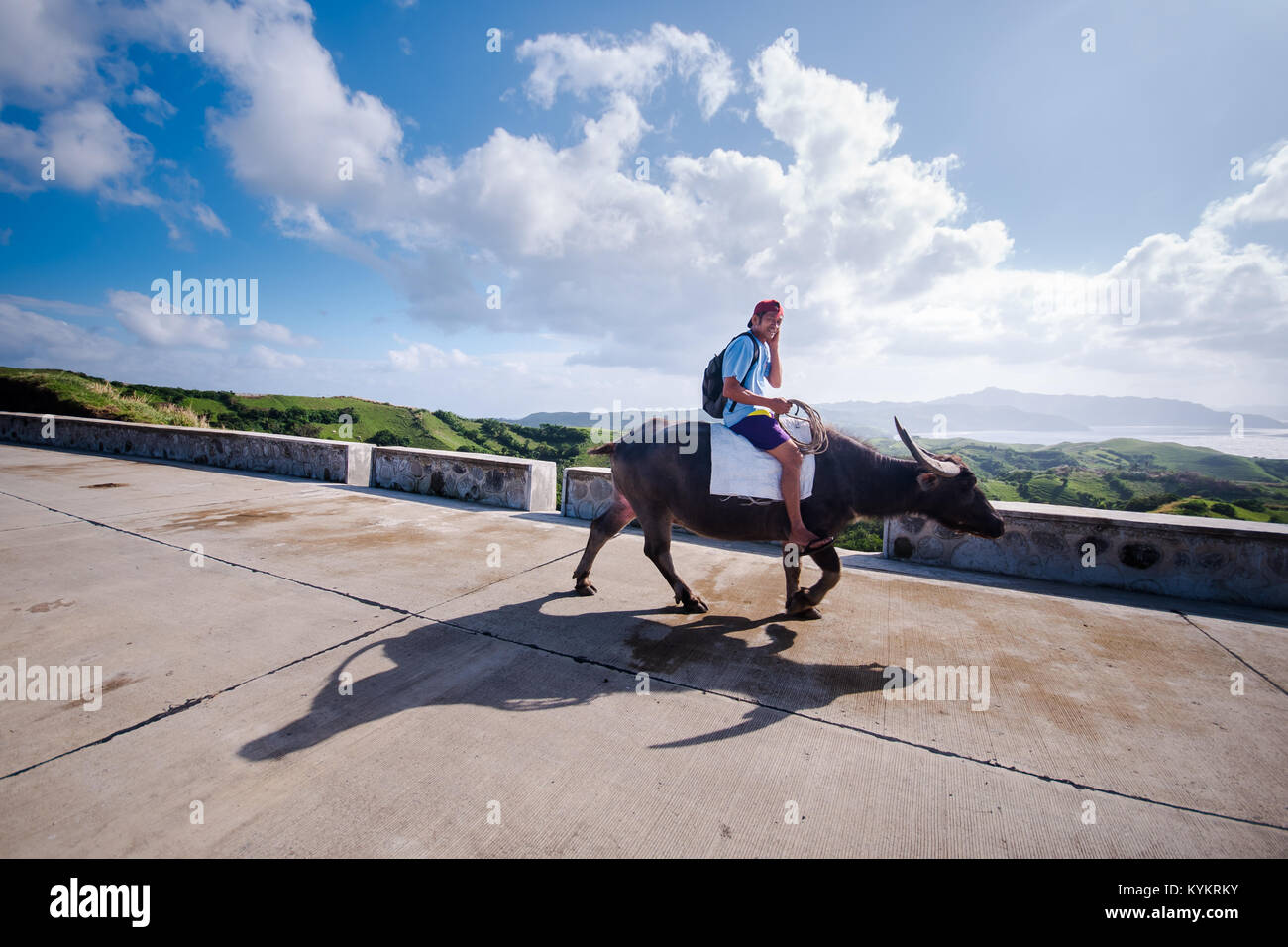 Farmer riding his Carabao at the hills of Batanes, Philippines Stock ...