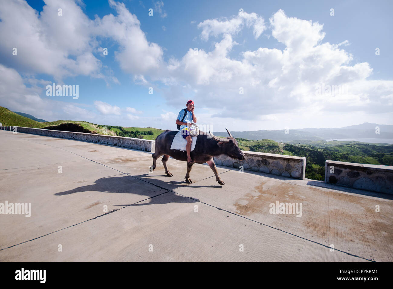 Farmer riding his Carabao at the hills of Batanes, Philippines Stock ...
