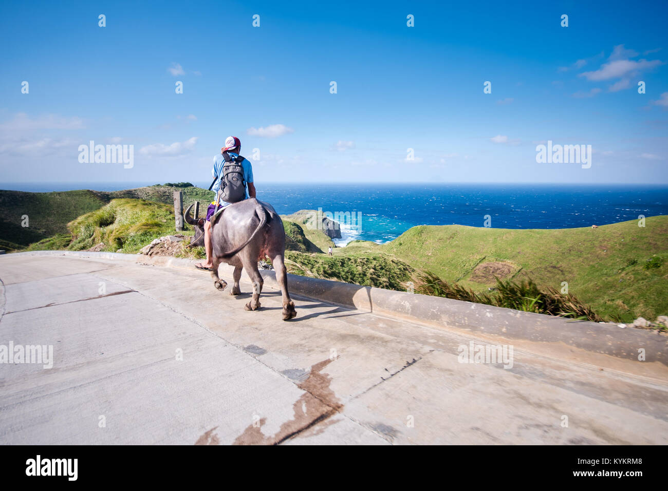 Farmer riding his Carabao at the hills of Batanes, Philippines Stock ...