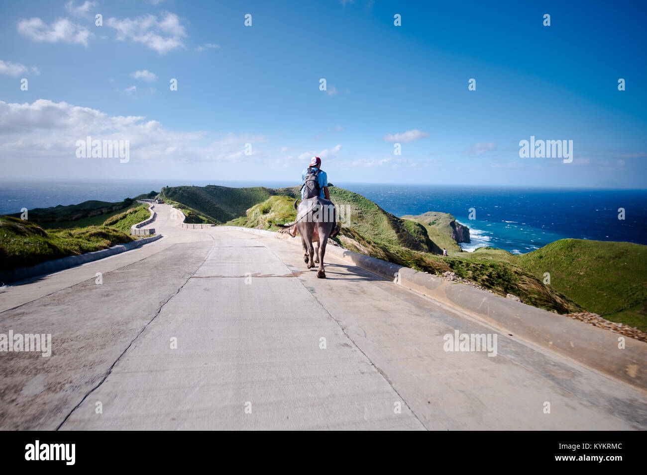 Kalabaw hi-res stock photography and images - Alamy