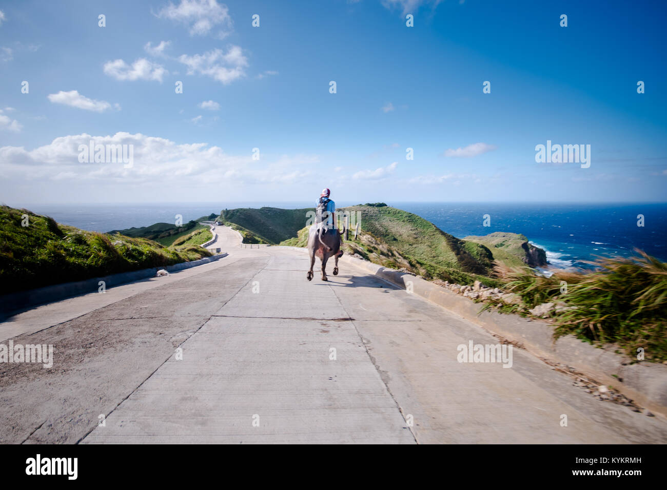 Kalabaw hi-res stock photography and images - Alamy