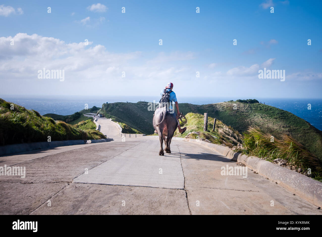 Kalabaw hi-res stock photography and images - Alamy