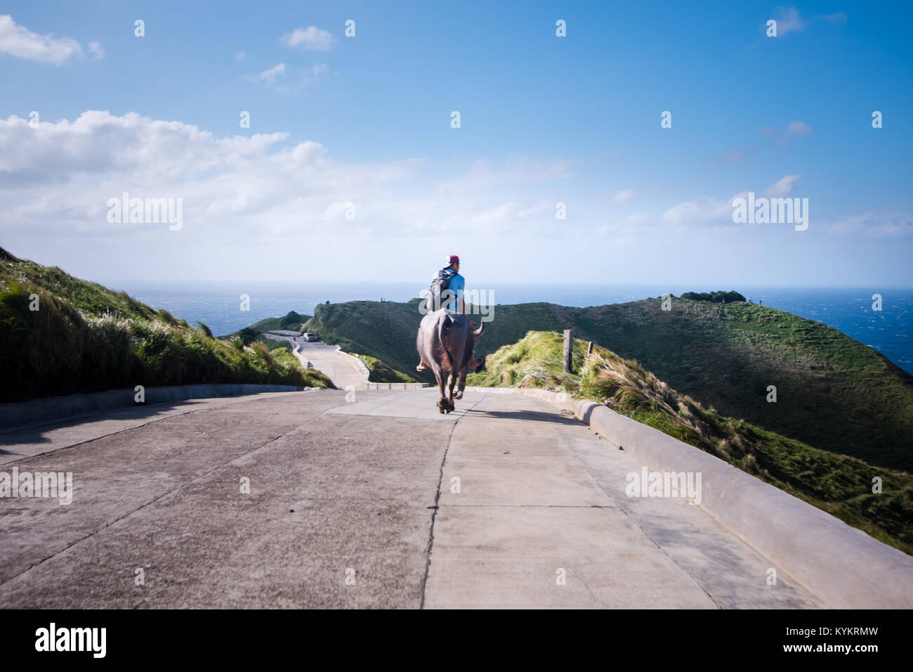Kalabaw hi-res stock photography and images - Alamy